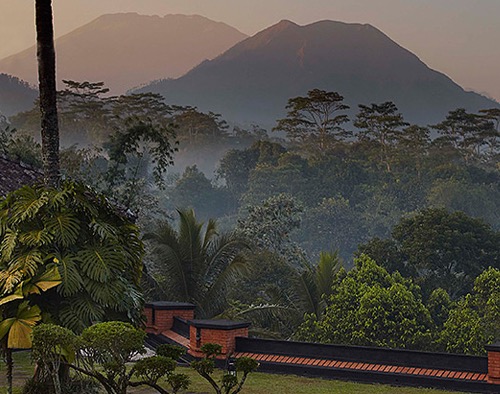 adventureho.com | JAVA